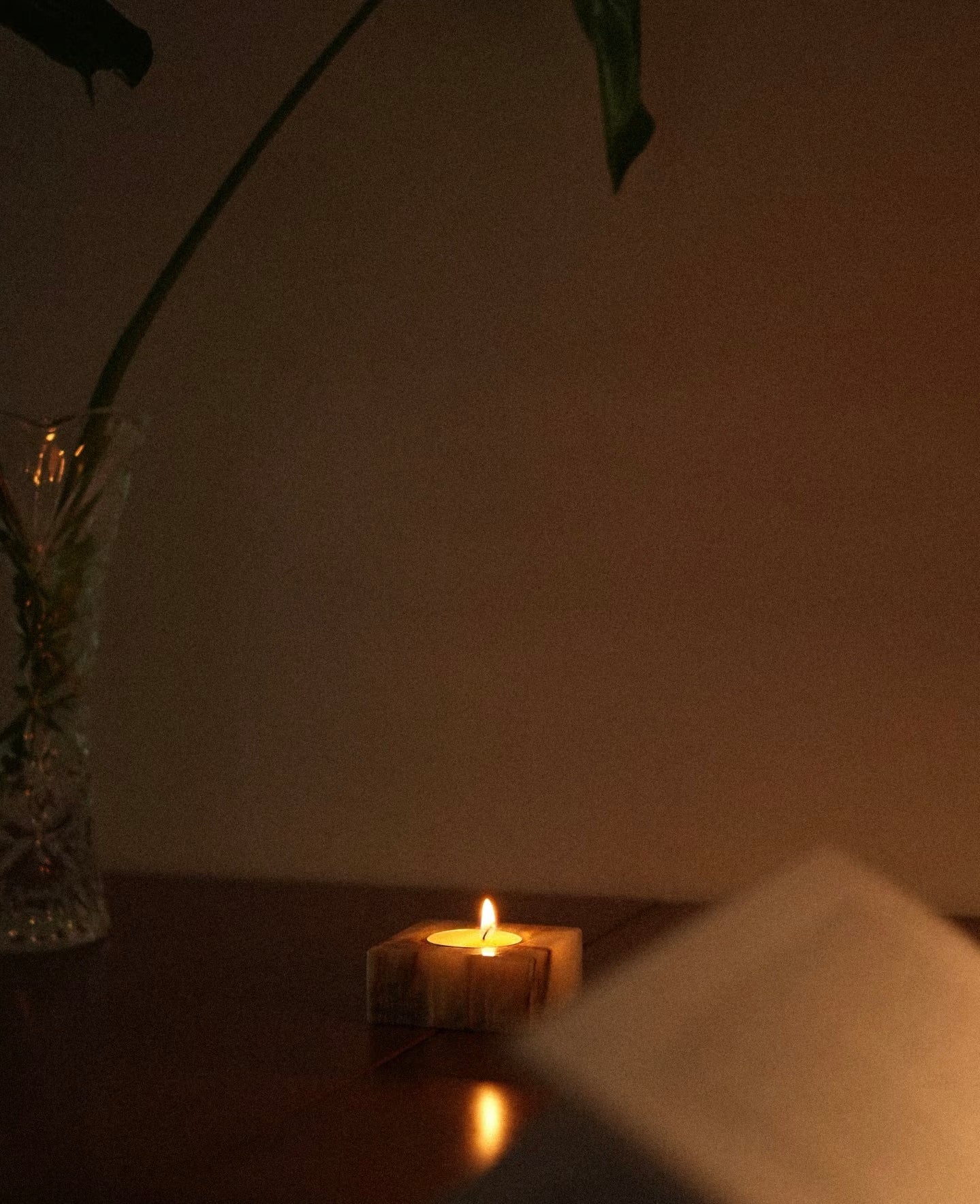 Lip Care 101: What is the best lip balm for nighttime that actually st ...